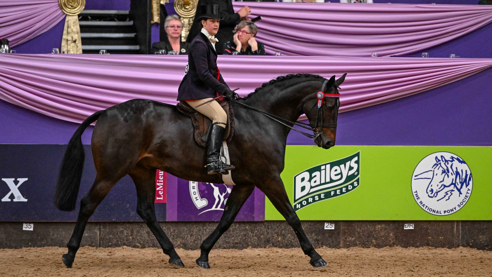 2023 SEIB Search For A Star championship results - Horse & Hound