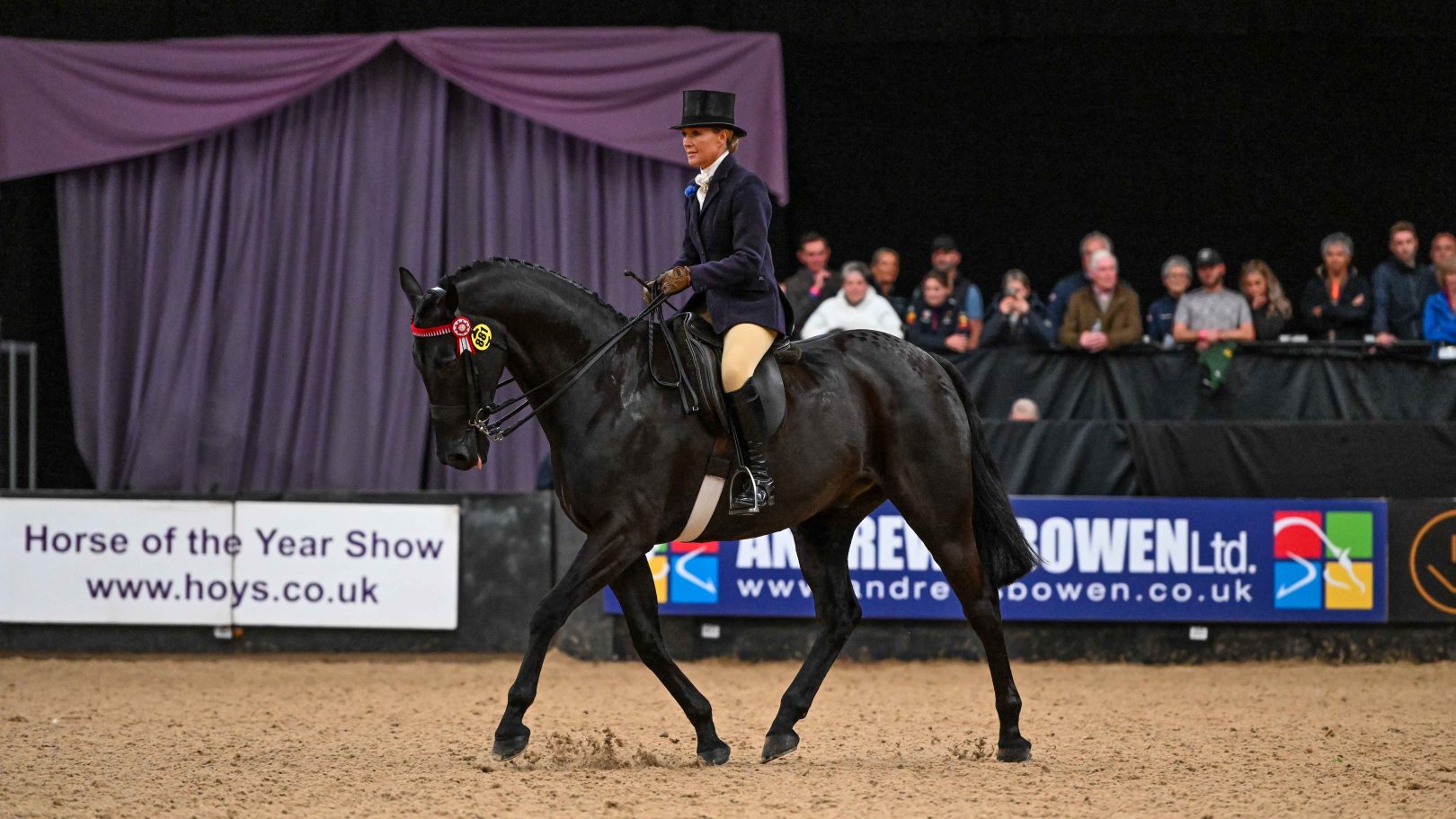 HOYS 2023 hack of the year: Forgeland Hyde Park - Horse & Hound