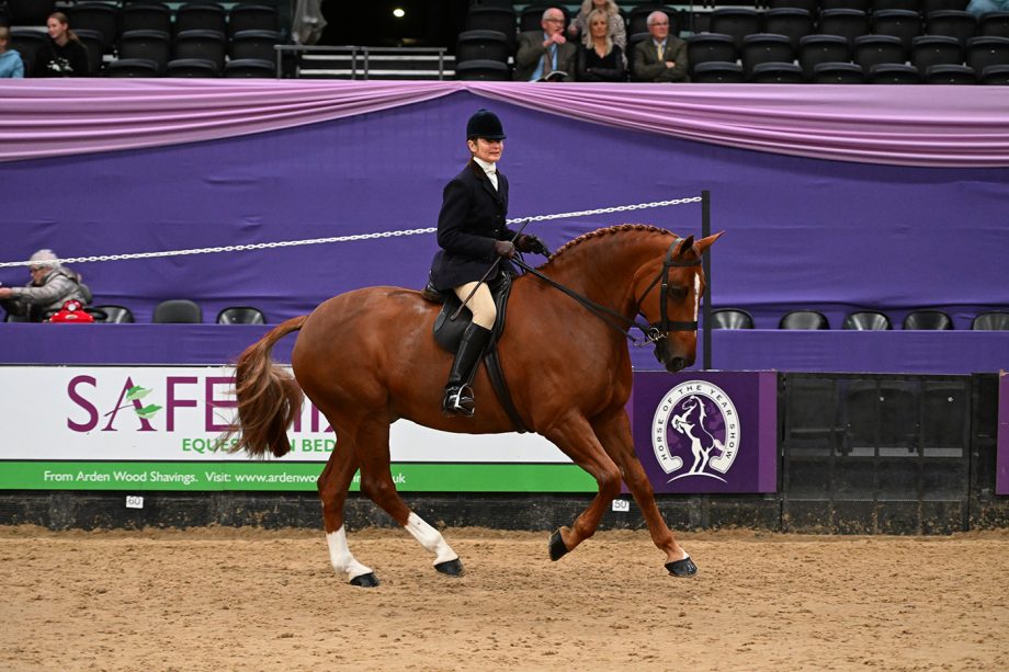 HOYS 2023 winners from the showing classes - Horse & Hound