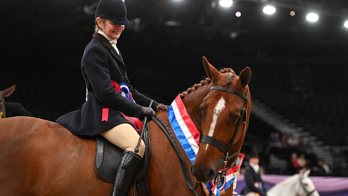 HOYS 2023 winners from the showing classes - Horse & Hound
