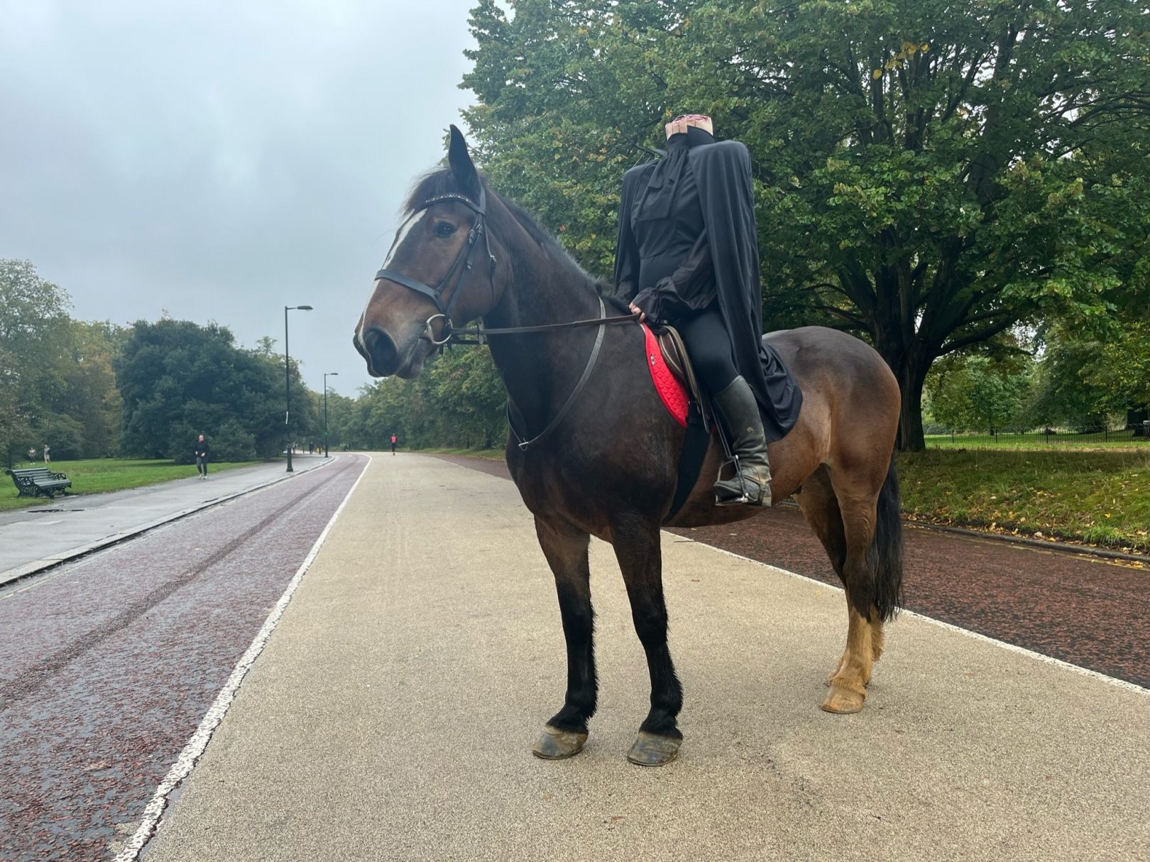 Some devilishly spooktacular horsey halloween costumes