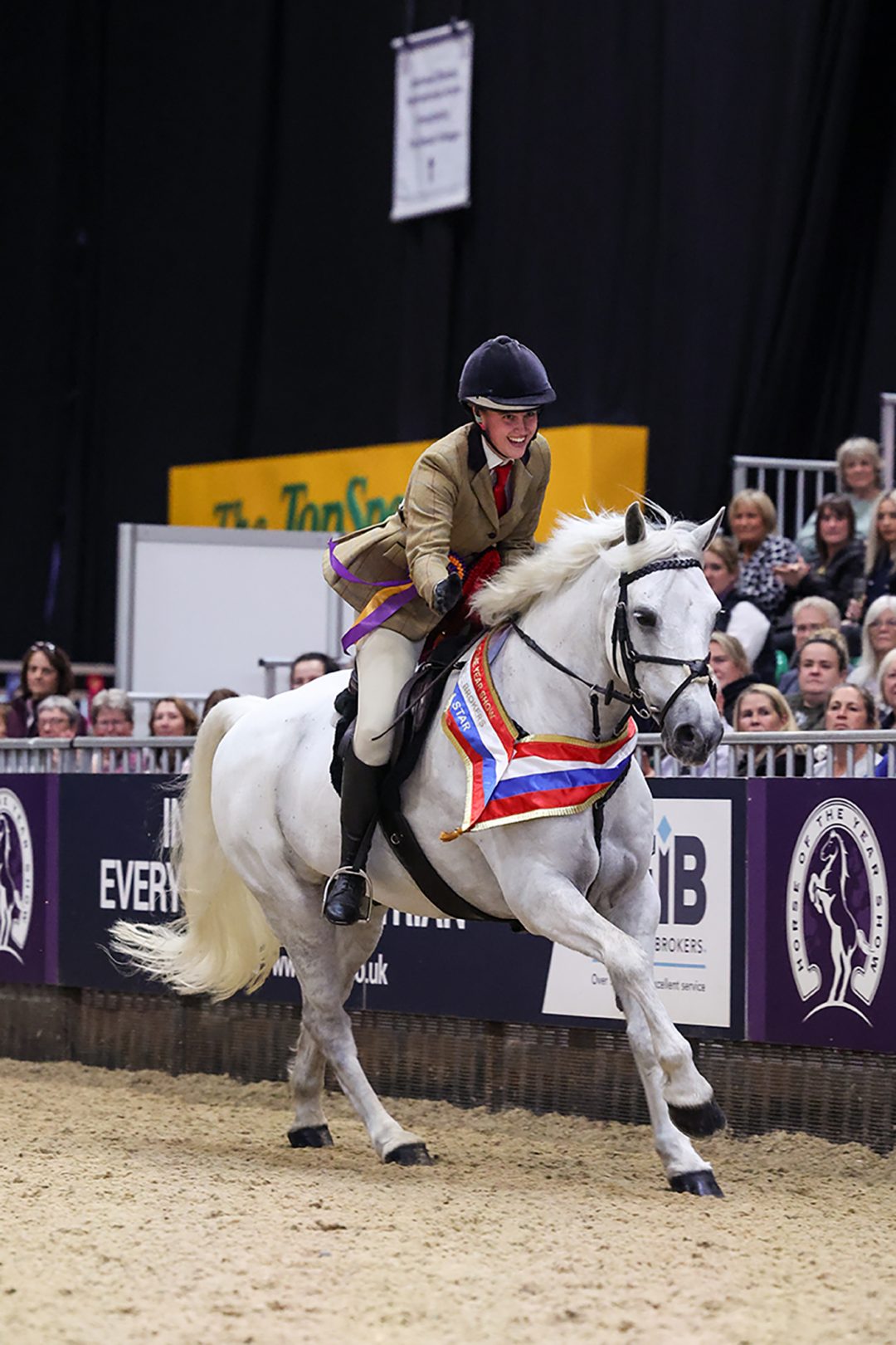 2023 SEIB Search For A Star (SFAS) class winners - Horse & Hound