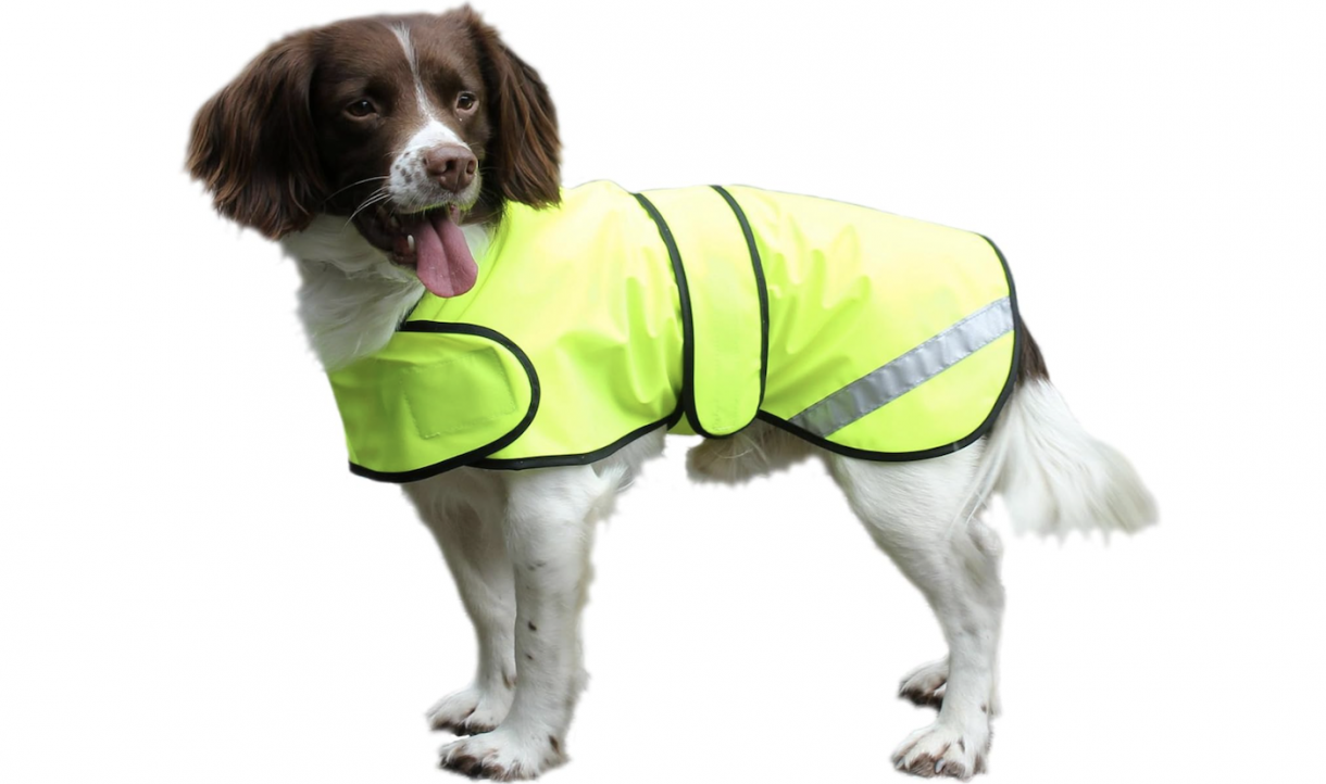 Best hi vis dog coats to be safe and be seen | Horse & Hound