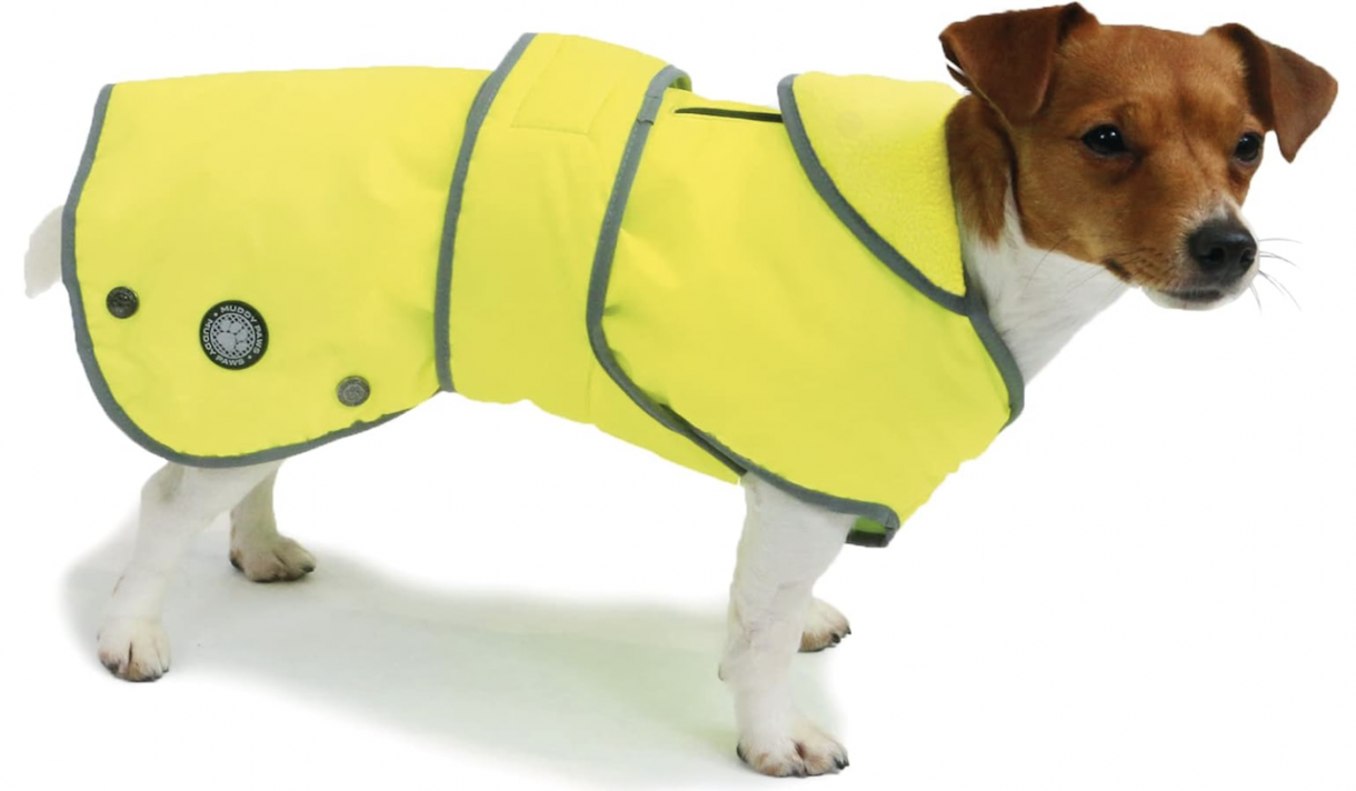 Best hi vis dog coats to be safe and be seen | Horse & Hound