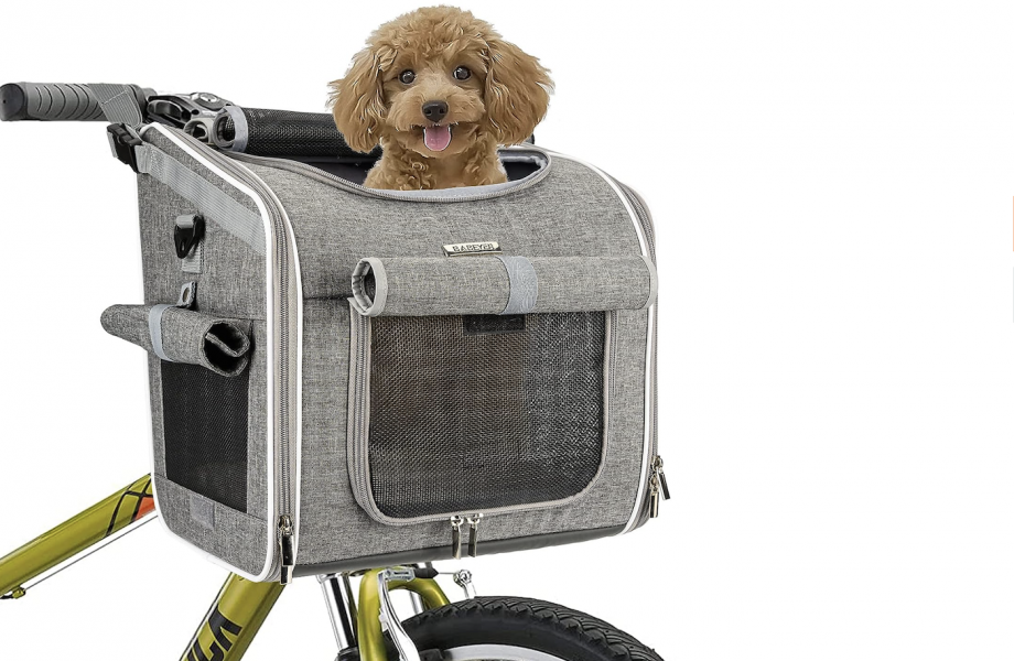 Best dog carriers for bikes so you can go exploring | Horse & Hound