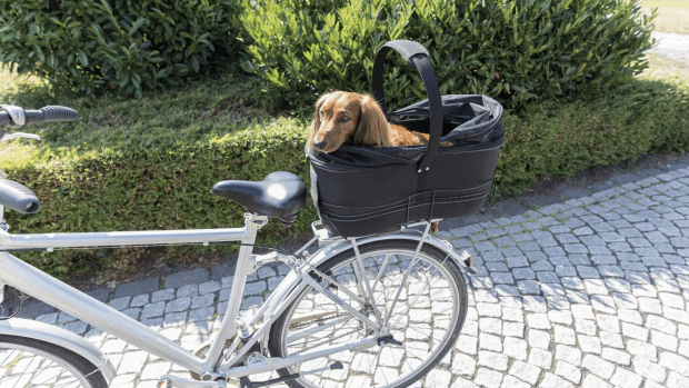 Best dog carriers for bikes so you can go exploring | Horse & Hound