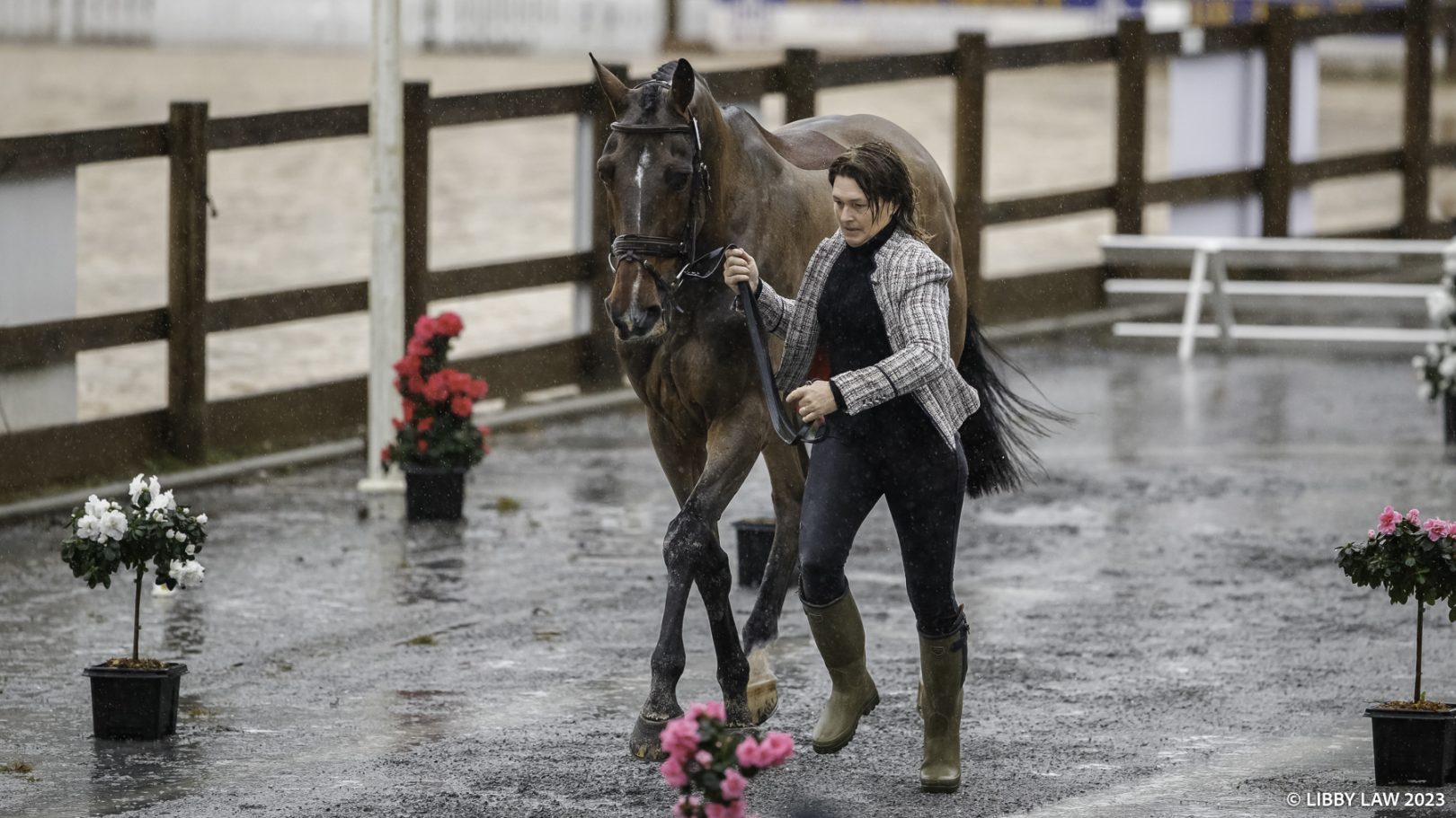 Pau Horse Trials dressage times released 2023: find out when the Brits go