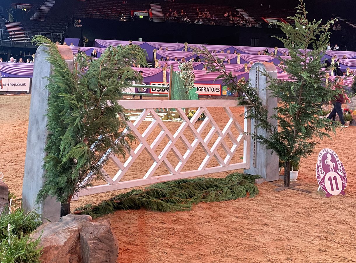 Now for something a little different: take a virtual walk the 2023 HOYS ...