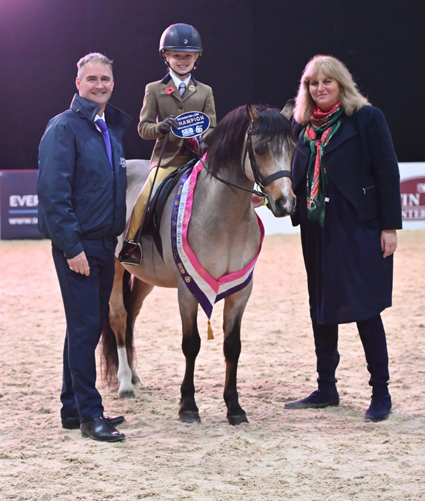 2023 SEIB Search For A Star Your Horse Live results- Horse & Hound