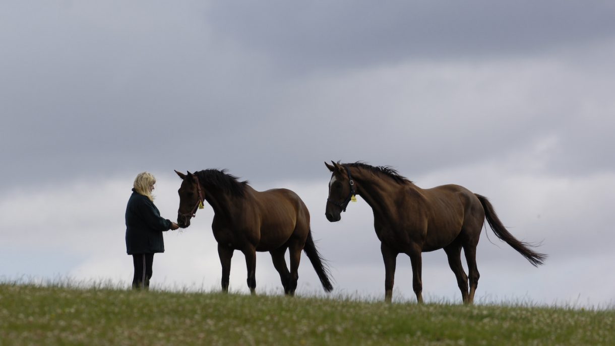 Holland Cooper, Zara Tindall and London International sign major new ...