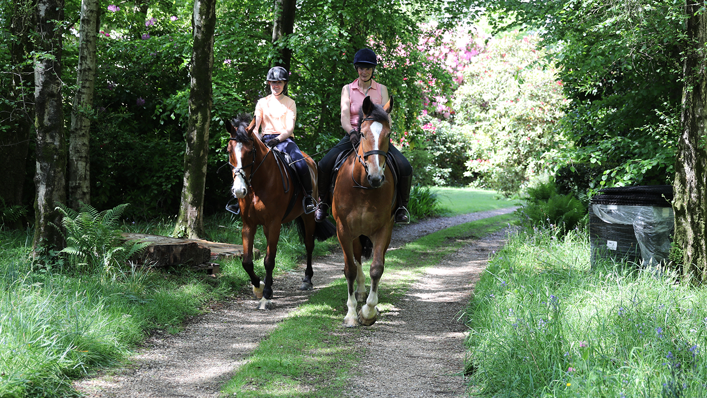 If your horse hates to go behind when hacking, try these three exercises
