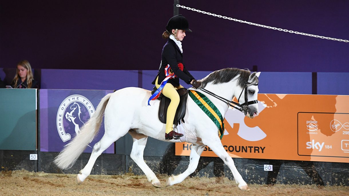 How to buy a Welsh section A pony - Horse & Hound