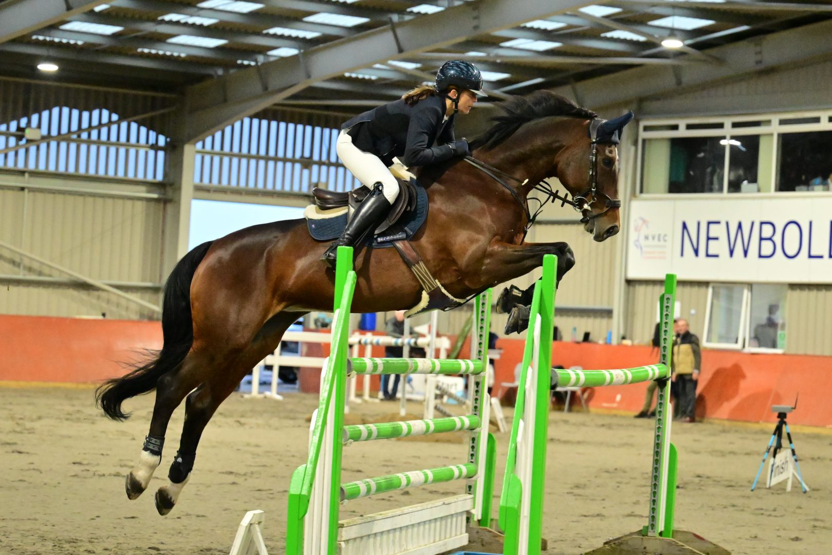 Veteran rider returns from freak HOYS fall to claim Blue Chip ticket