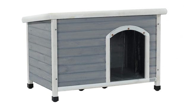 Best kennel for dogs: 6 options for your garden | Horse & Hound