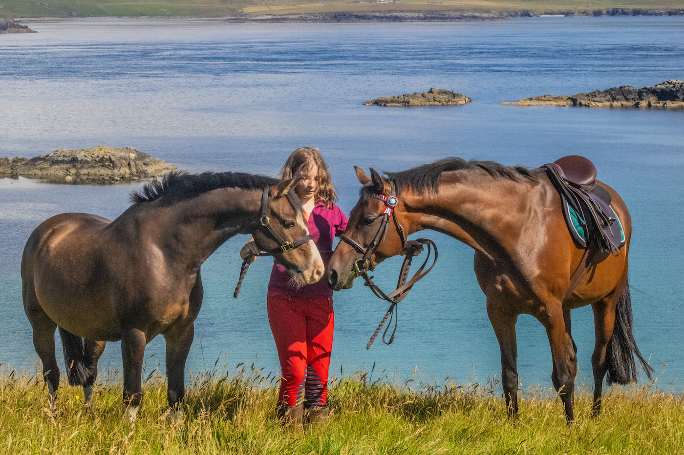 ‘We think she’s wonderful’: dealer gives horse to customers whose pony ...
