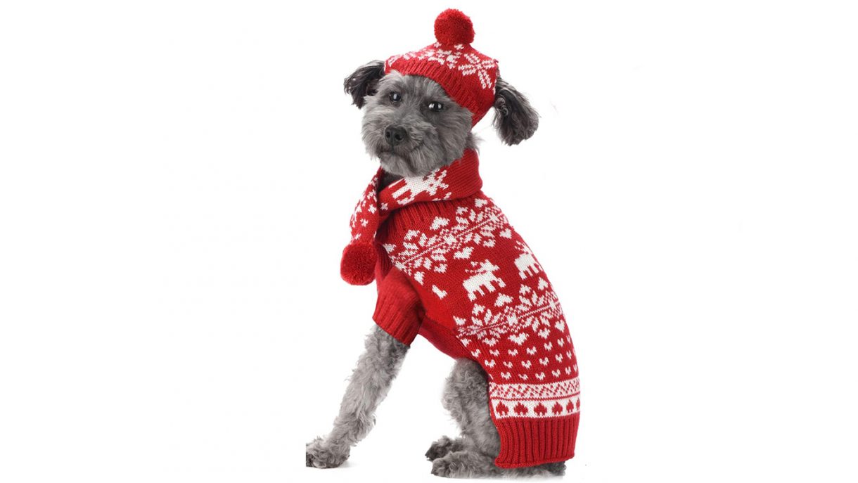 Best dog Christmas jumpers for a festive flourish - Horse & Hound