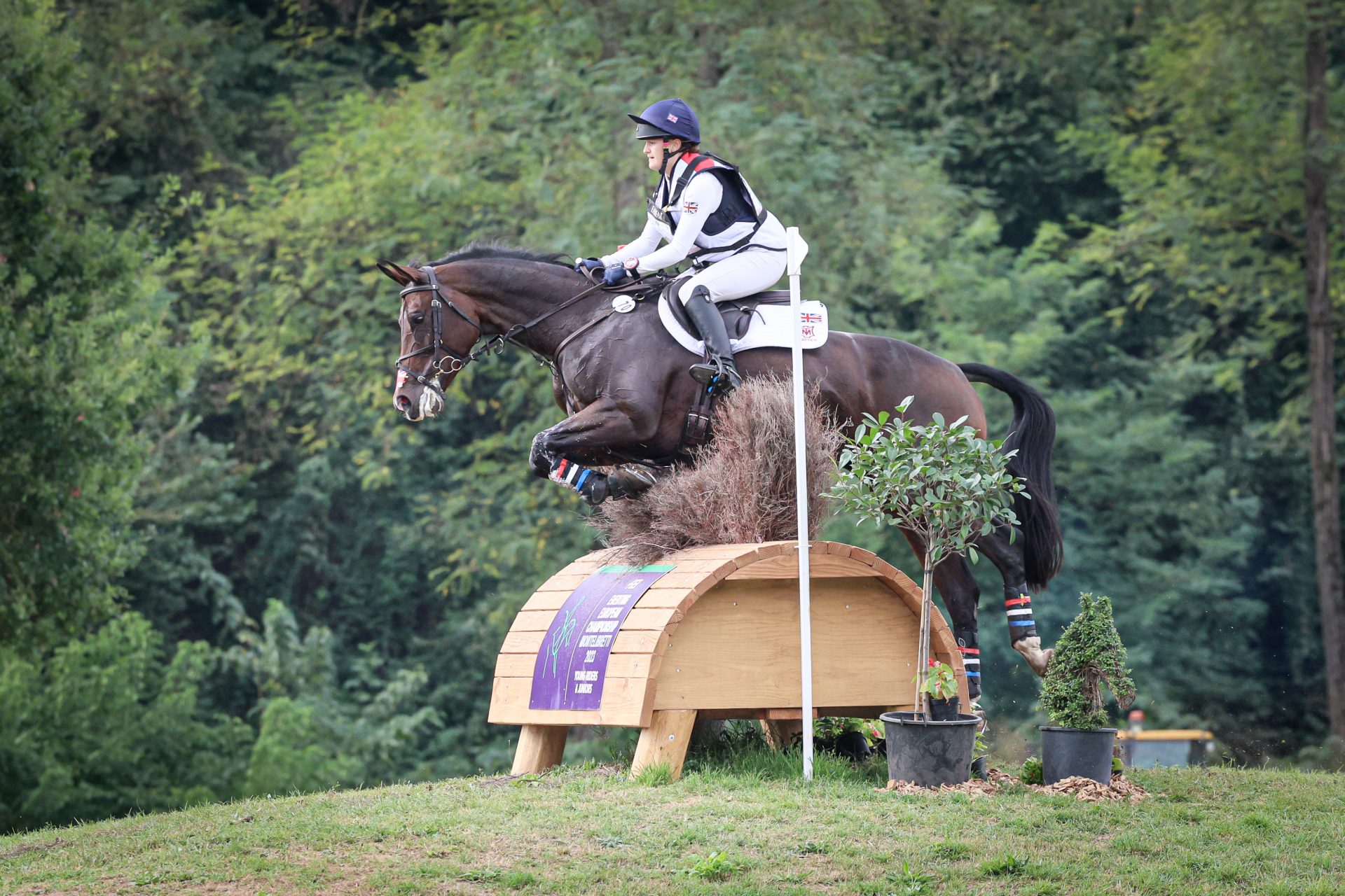 Meet Anna Price, who is making waves in the youth eventing ranks