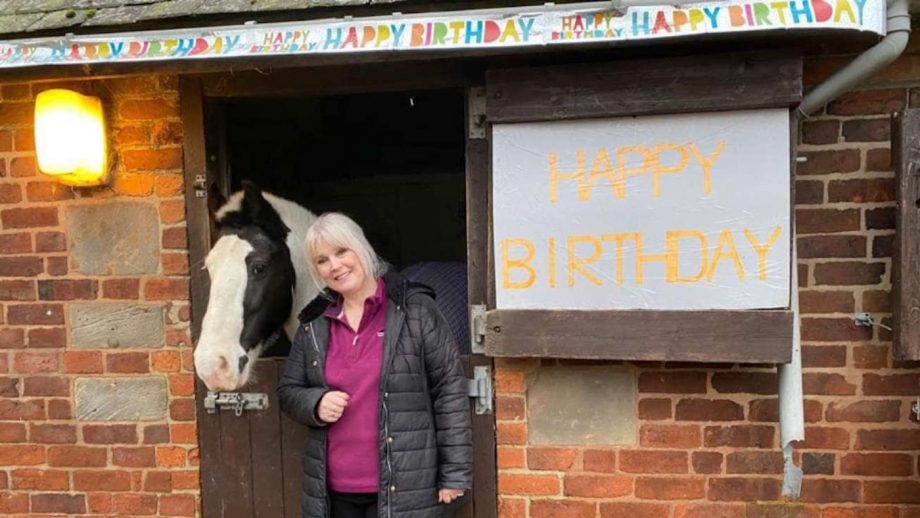 29 pictures to prove that cobs CAN do dressage (and excel at it ...