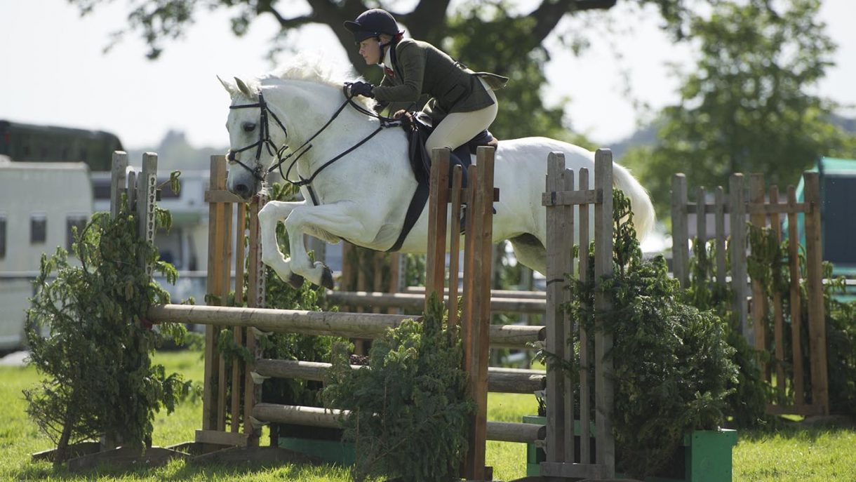 Tributes paid to top Connemara working hunter pony Golden Island Star