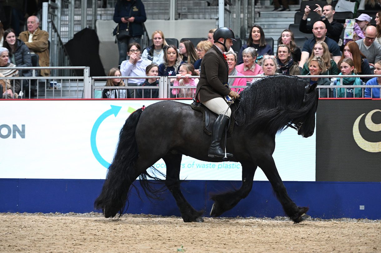Full breed list and results from 2023 BSPS M&M supreme ridden final