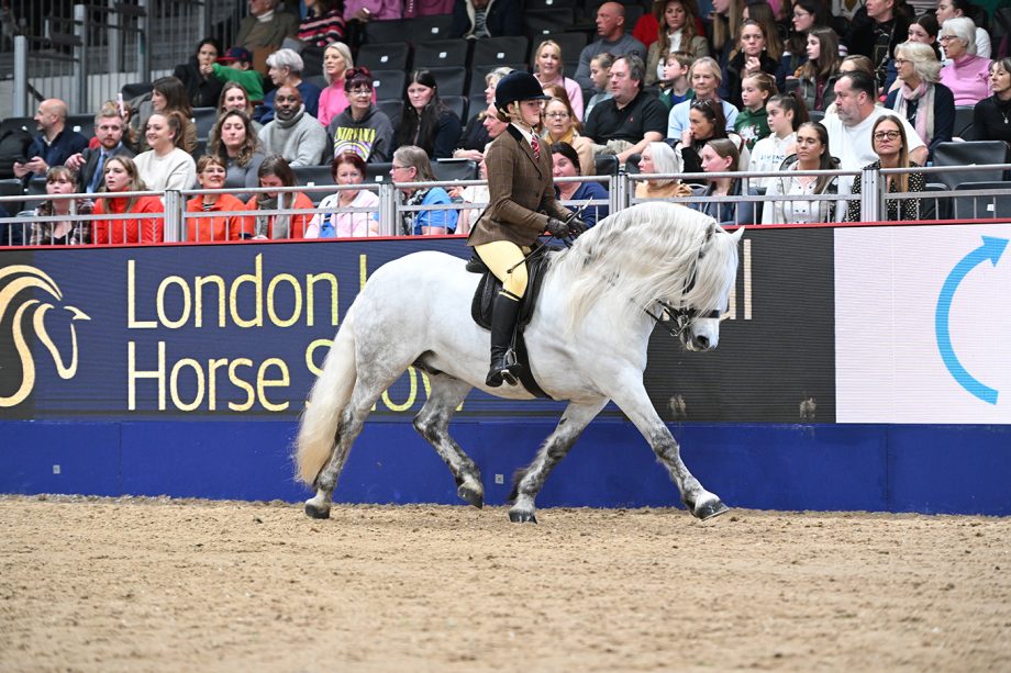 Full breed list and results from 2023 BSPS M&M supreme ridden final