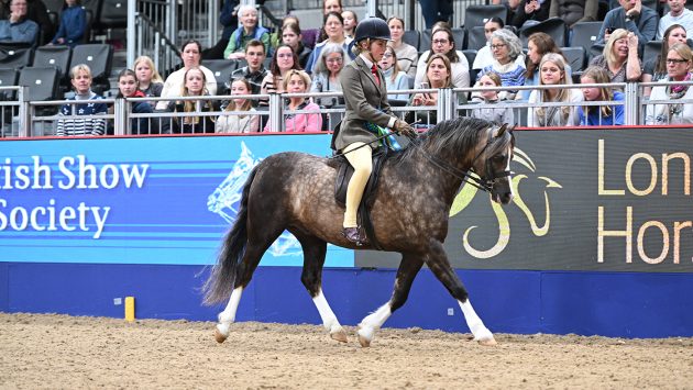 Full breed list and results from 2023 BSPS M&M supreme ridden final