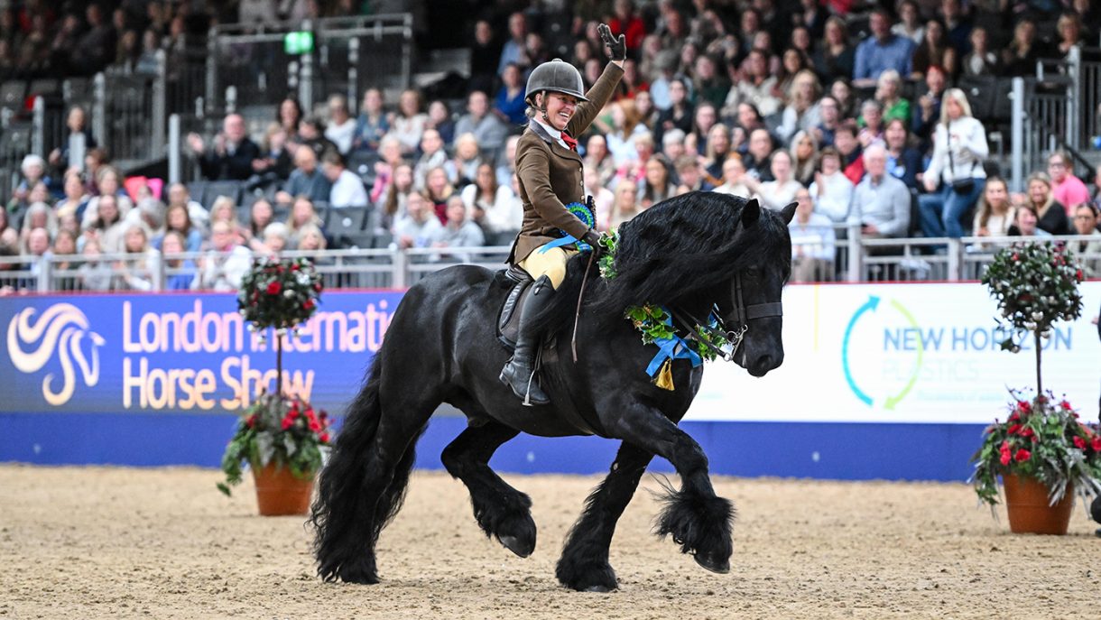 How to buy a Dales pony, with tips from a top breeder - Horse & Hound