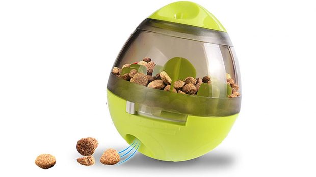 Best dog treat dispenser toy to challenge and reward | Horse & Hound