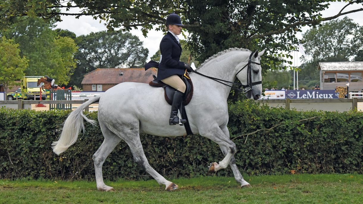 The Horse & Hound Podcast 144: Amateur showing rider Floriann Gilston ...
