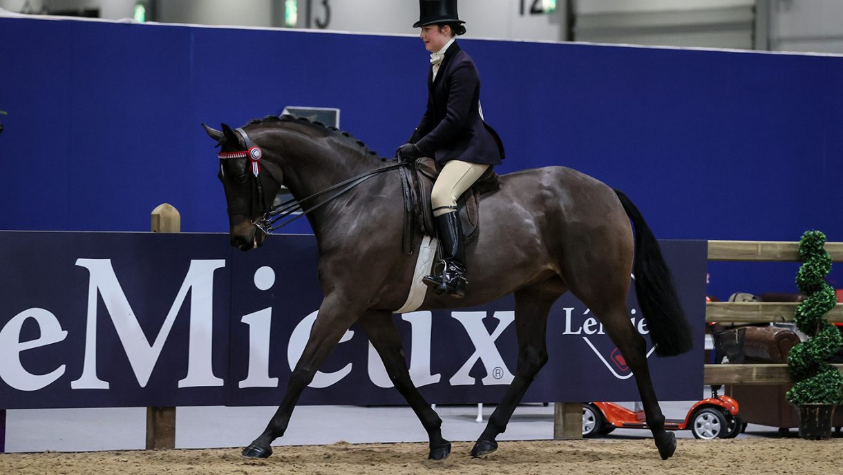 2023 London International Horse Show showing results: BSHA classes