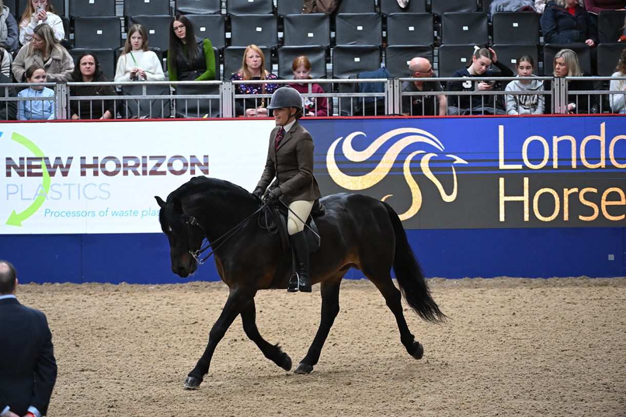 Full breed list and results from 2023 BSPS M&M supreme ridden final