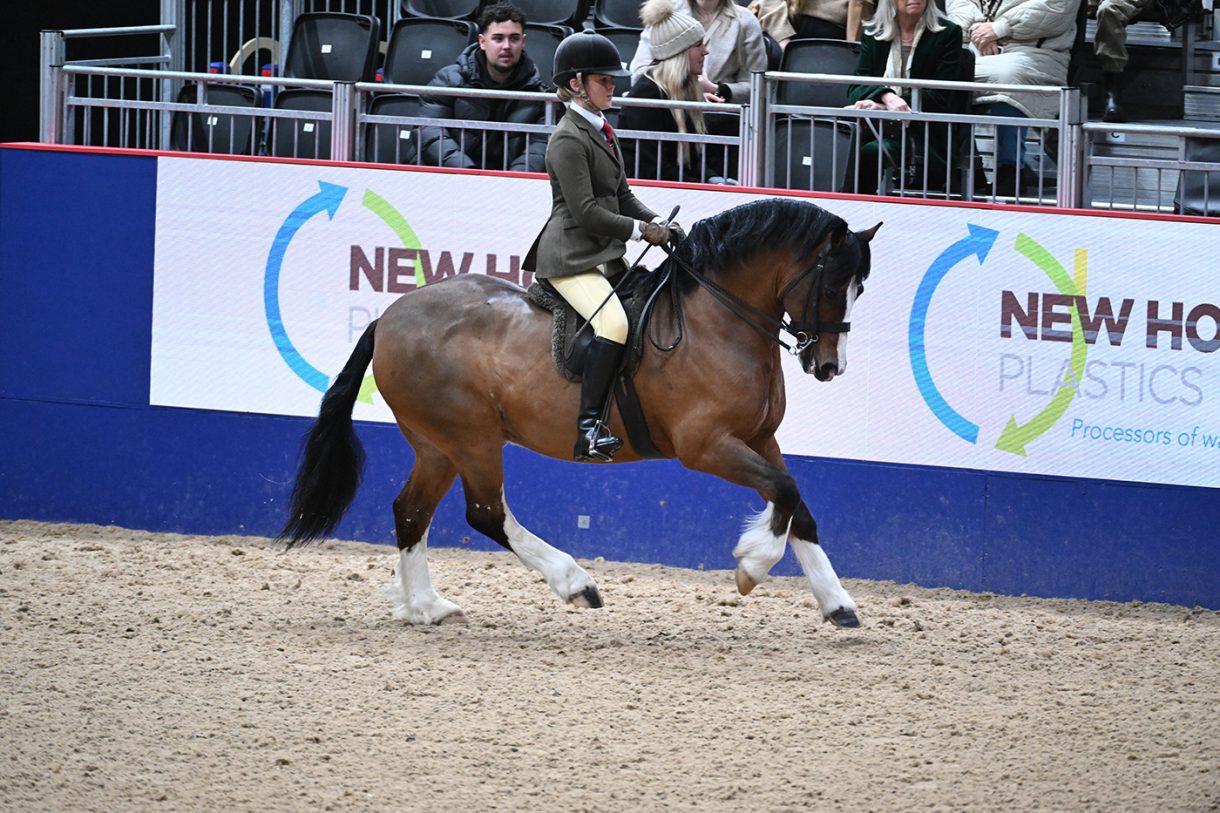 Full breed list and results from 2023 BSPS M&M supreme ridden final