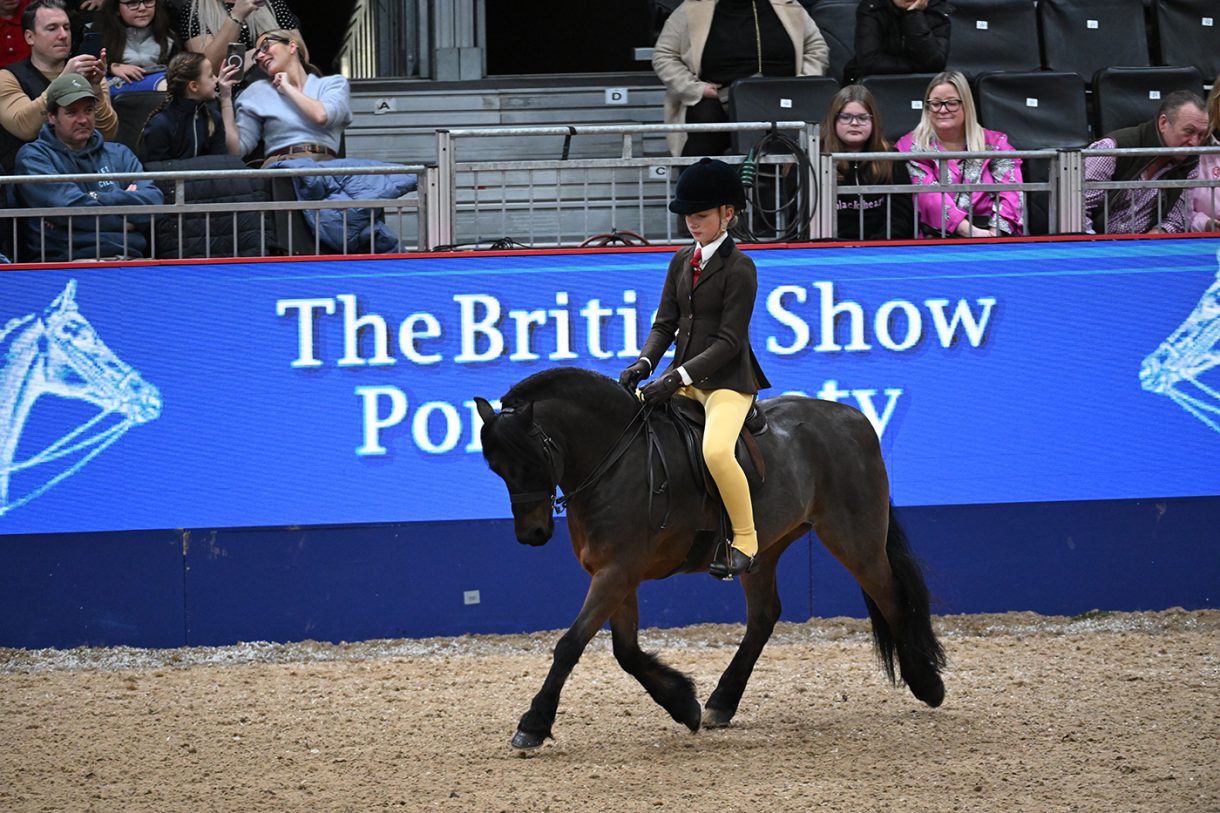 Full breed list and results from 2023 BSPS M&M supreme ridden final