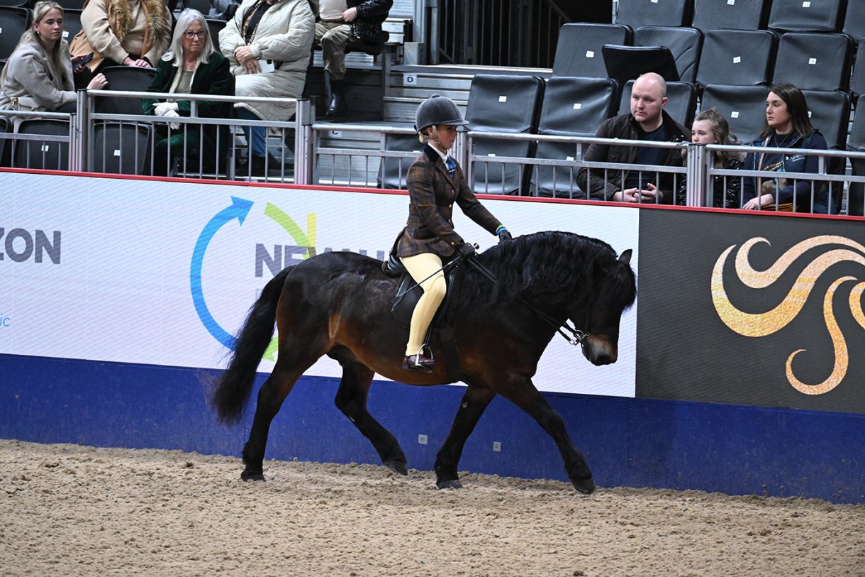 Full breed list and results from 2023 BSPS M&M supreme ridden final