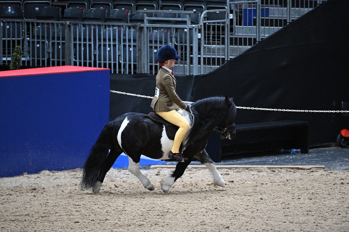 Full breed list and results from 2023 BSPS M&M supreme ridden final