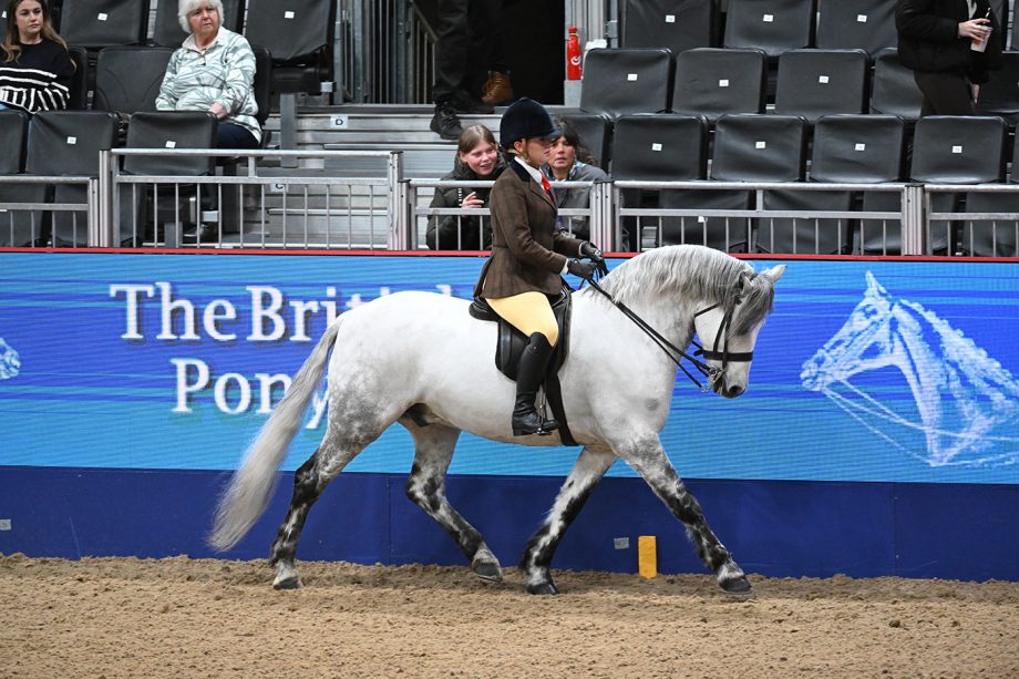 Full breed list and results from 2023 BSPS M&M supreme ridden final