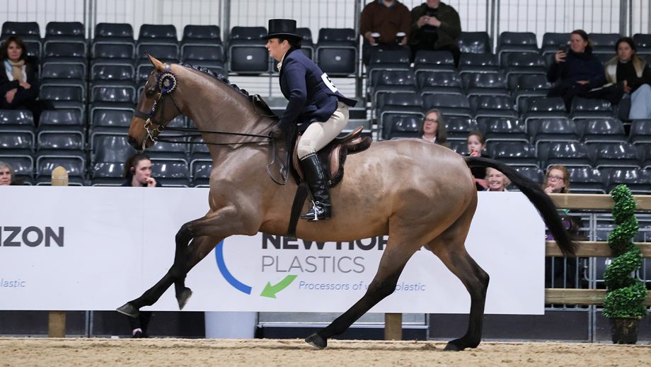 2023 London International Horse Show showing results: BSHA classes