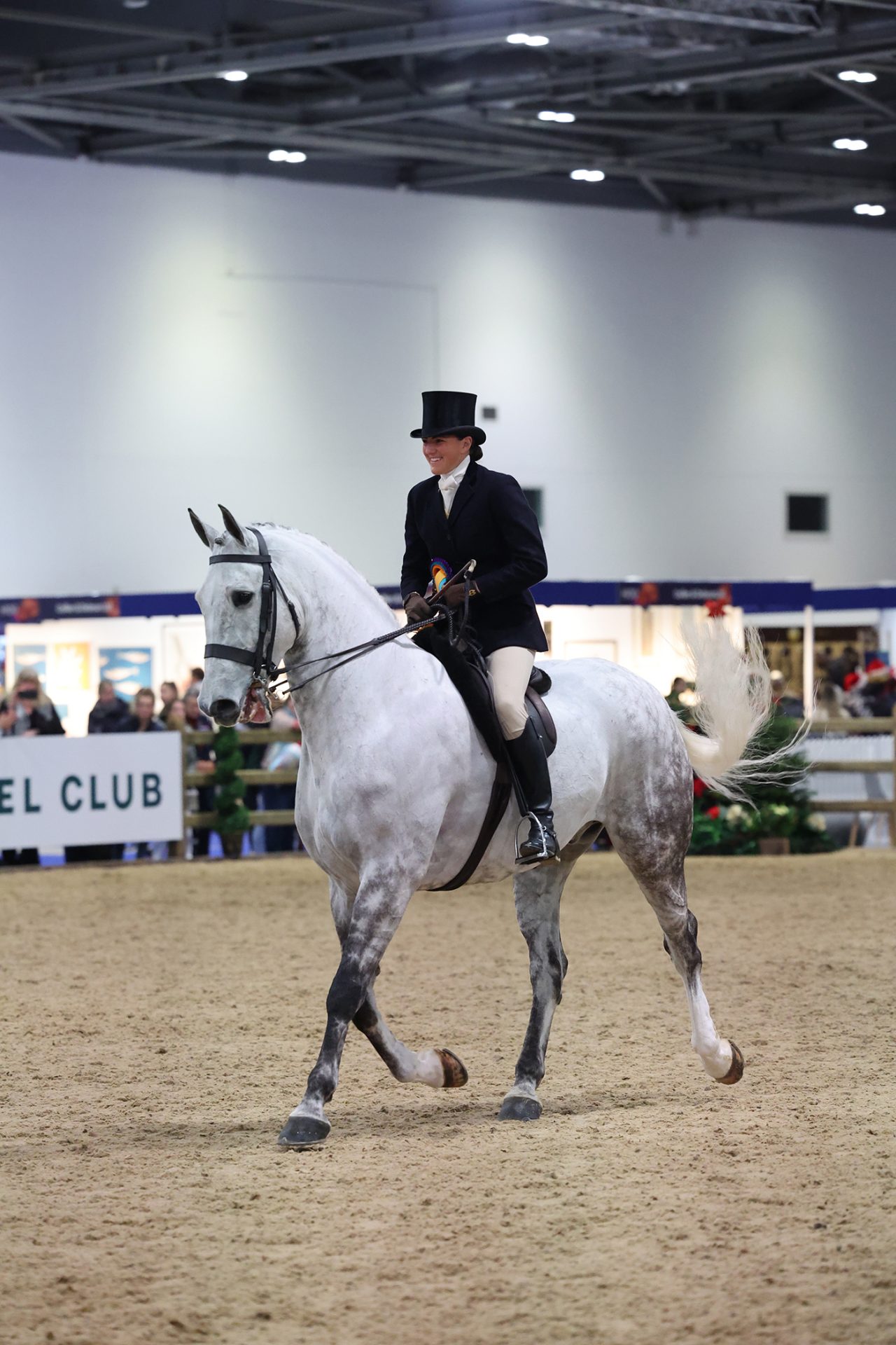 2023 London International Horse Show showing results: BSHA classes