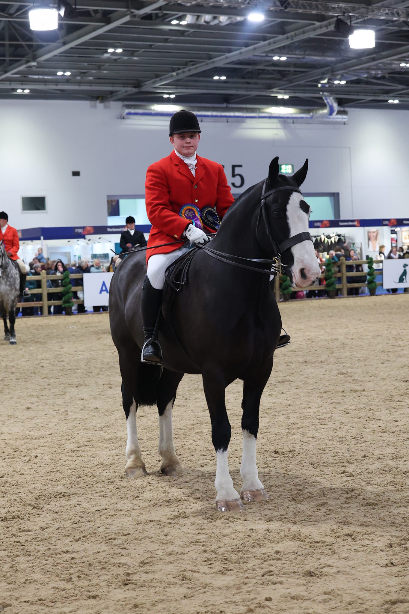 2023 London International Horse Show showing results: BSHA classes
