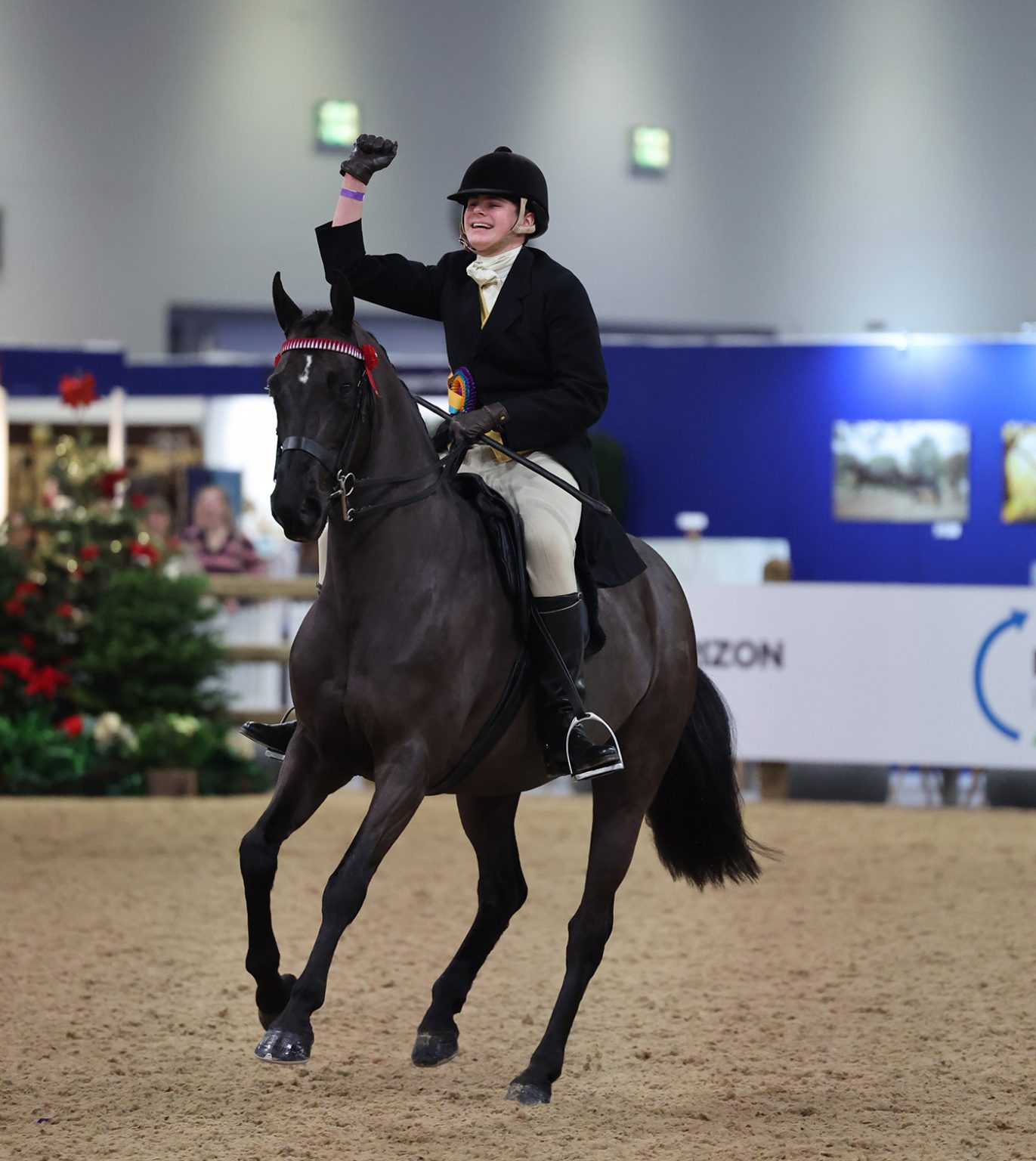 2023 London International Horse Show showing results: BSHA classes