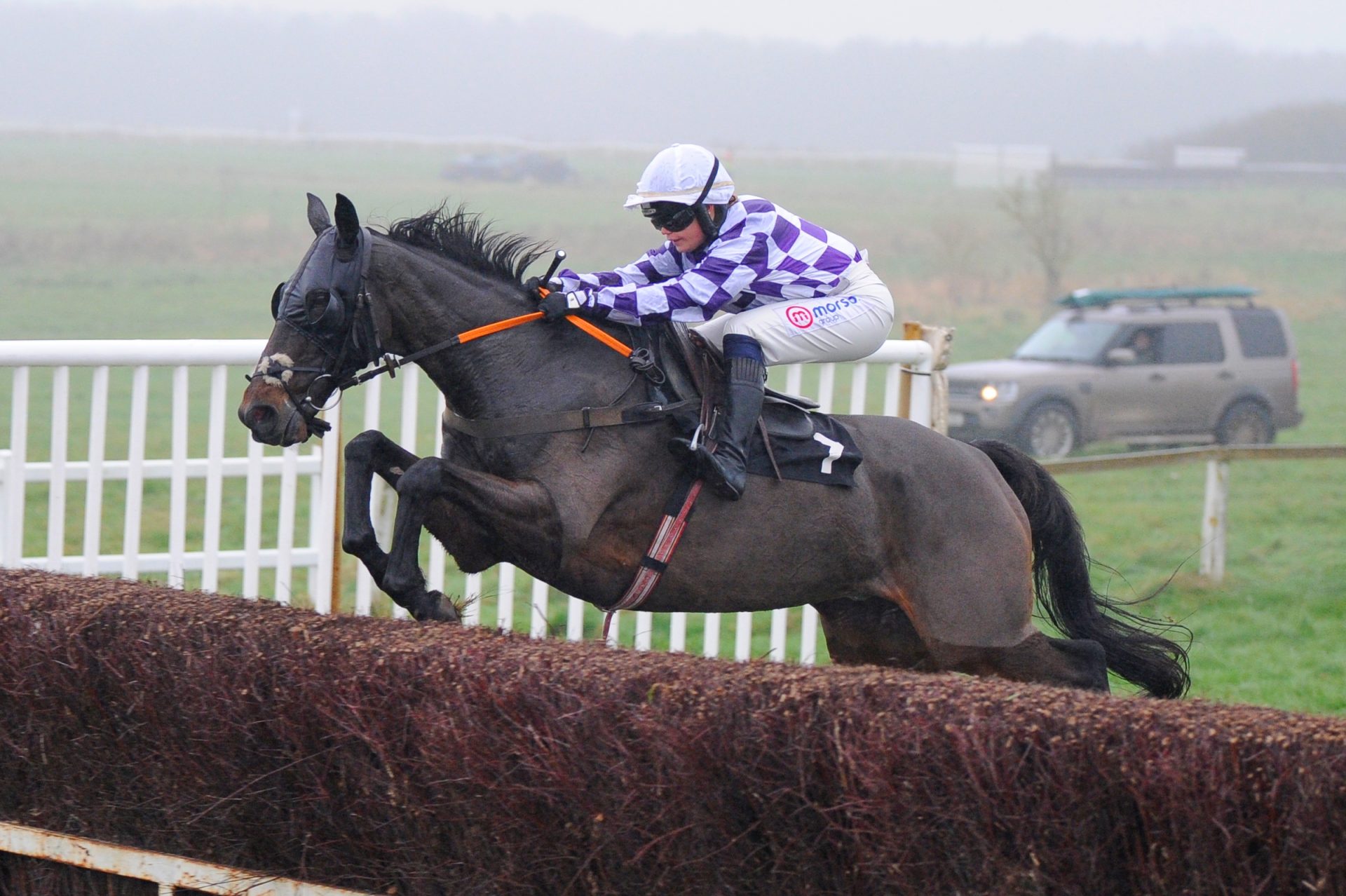 Point-to-point championship 2024 – the results | Horse & Hound