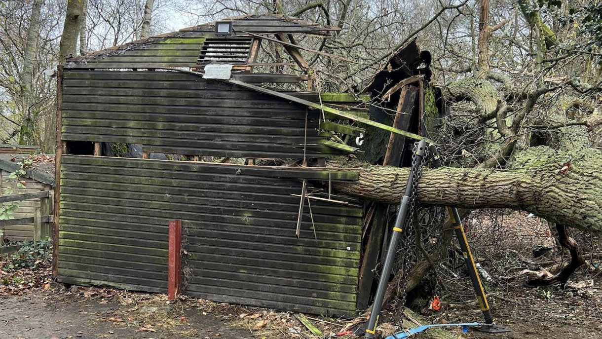 ‘A bit of a miracle’: stables ‘obliterated’ by fallen tree – but horses ...