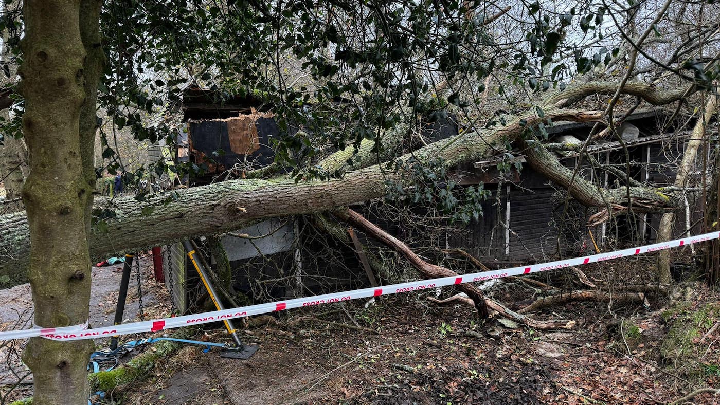 ‘A bit of a miracle’: stables ‘obliterated’ by fallen tree – but horses ...
