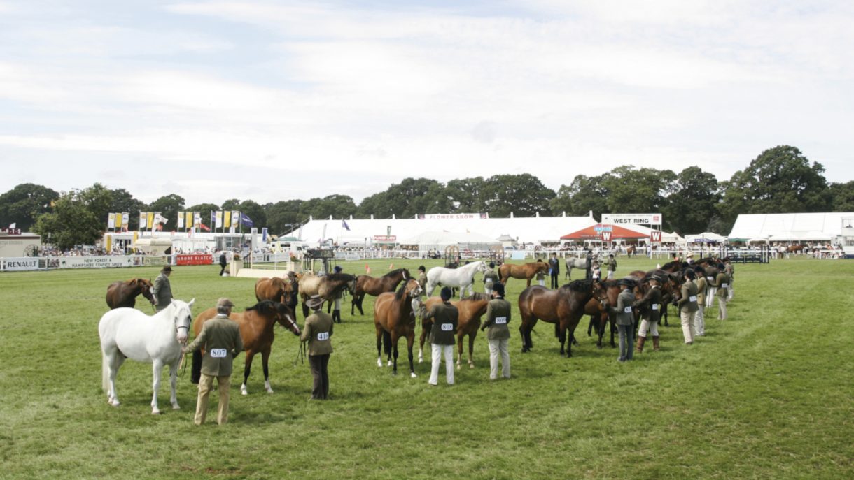 BSPS / British Show Pony Society latest news | Horse & Hound