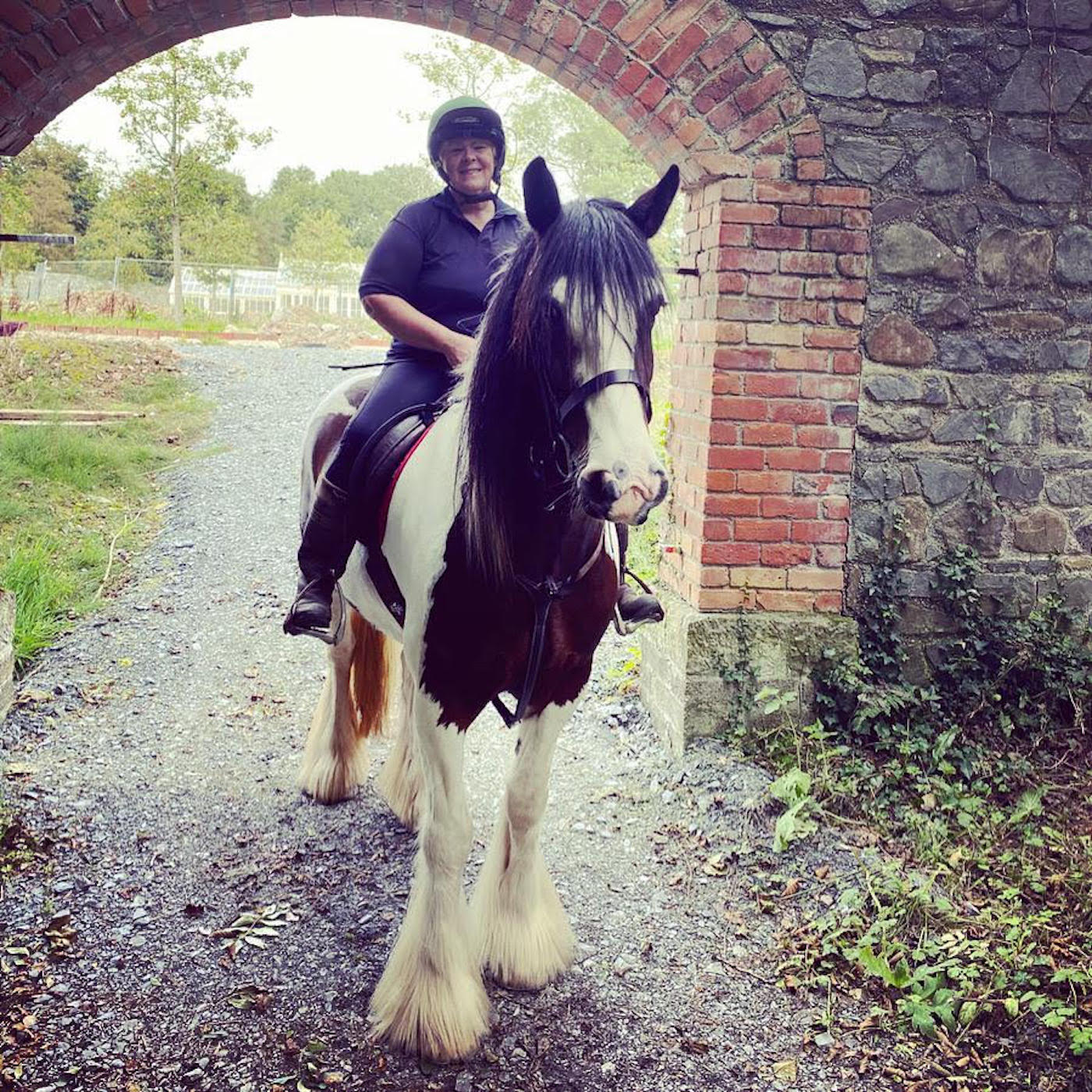 Dog owner claimed her pet was ‘traumatised’ after it ‘launched itself ...