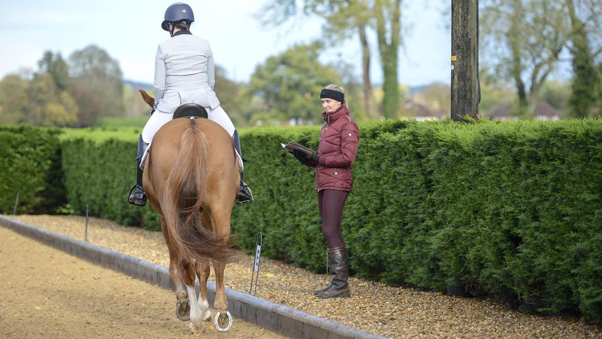 Are dressage horses being overproduced for young horse classes?