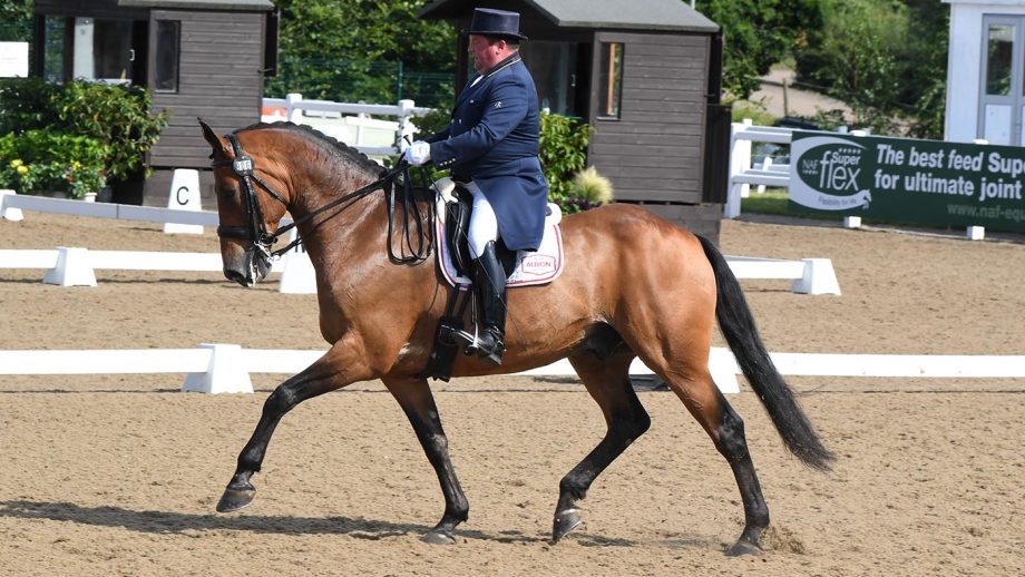 Sheepcote Walnut – final farewell to grand prix dressage horse