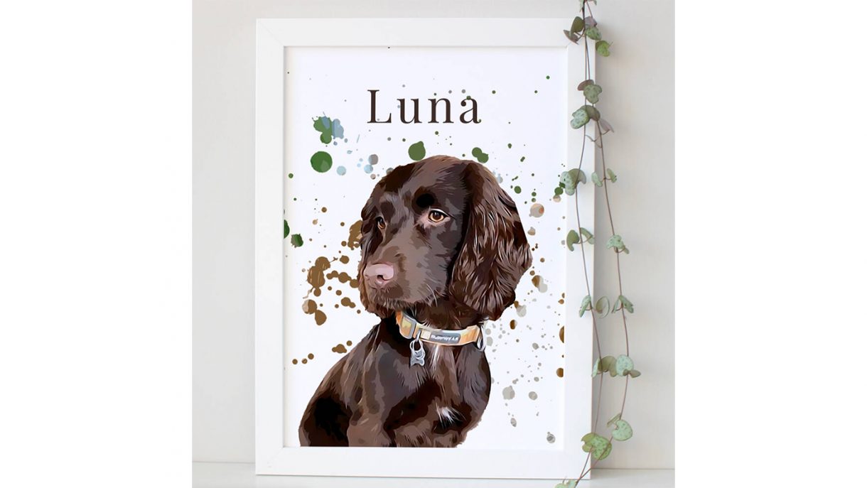 Gifts for dog lovers on their birthdays, Christmas and just because