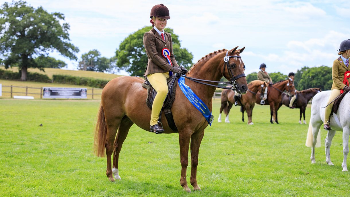 A sad farewell to a top pony and other things the horse world is ...