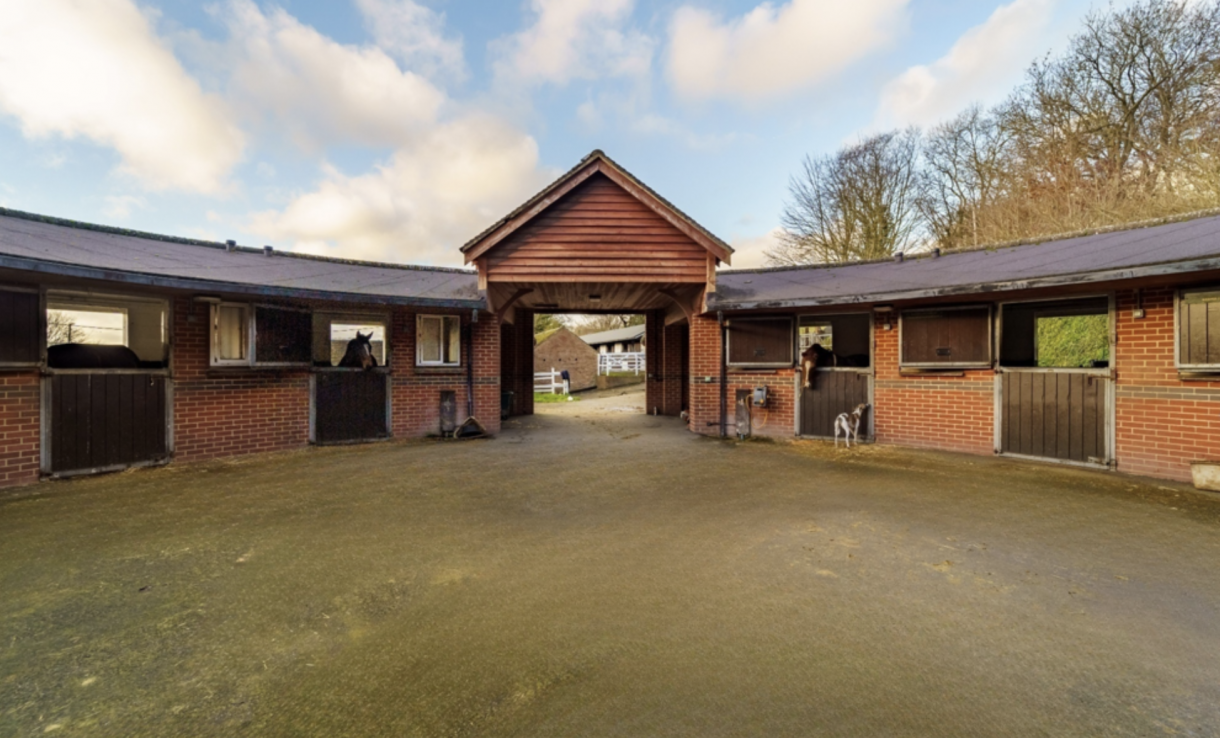 2024 SSADL in-hand supreme final results - Horse & Hound